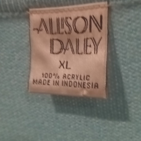 Allison Daley | Tops | Nwt Allison Daley 0 Acrylic Teal Twistbraided ...